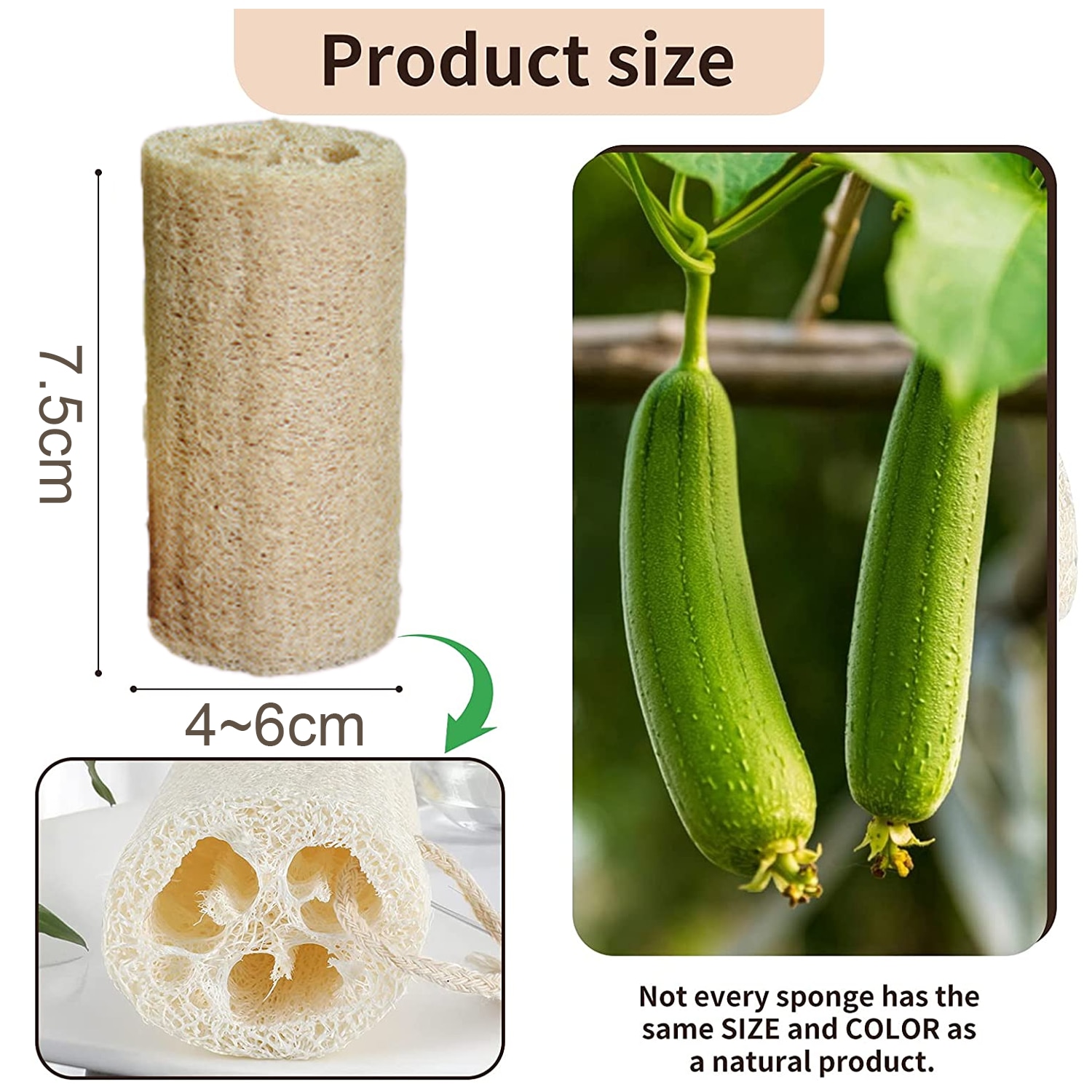 Burete de lufa, Natural - eMAG.ro