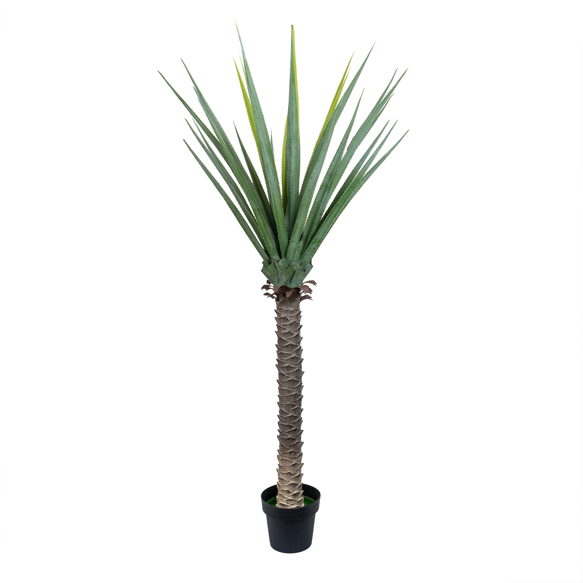 Copac artificial in ghiveci, model Aloe, 160x70 cm, B.S.P. / SL443 ...