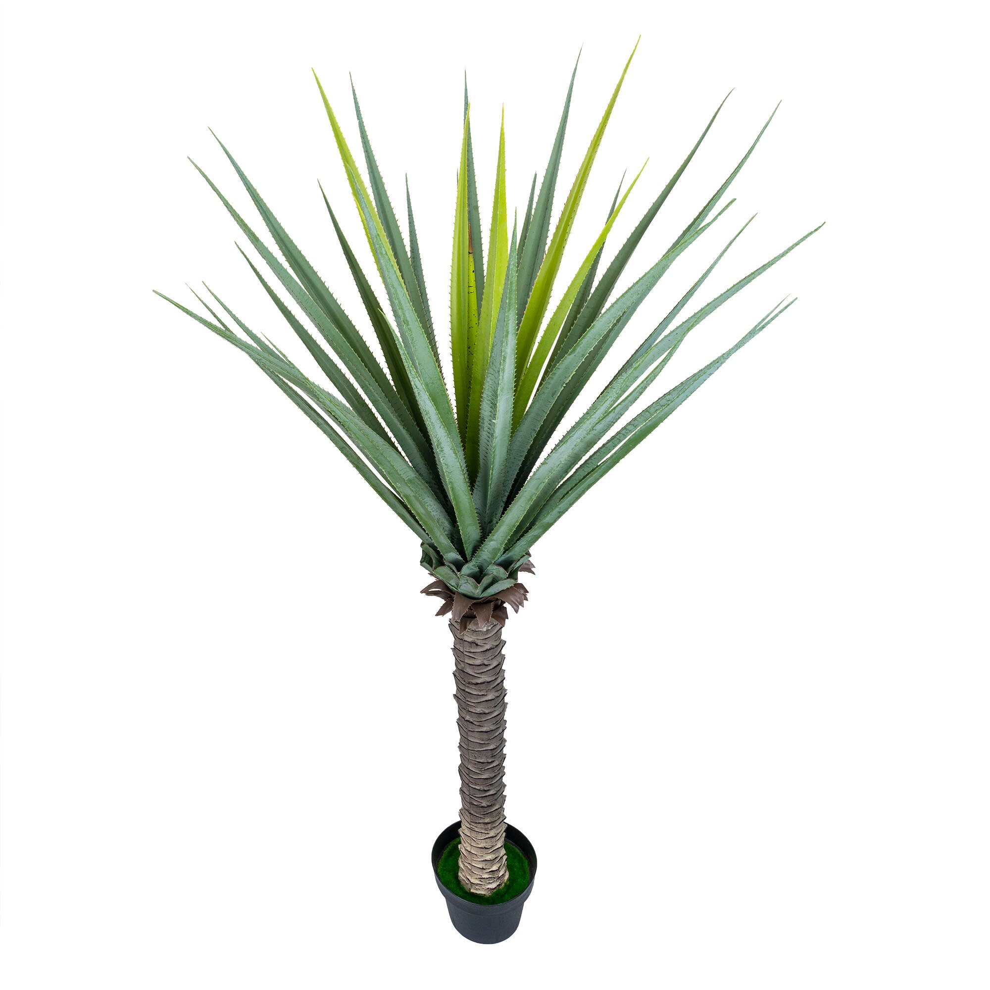 Copac artificial in ghiveci, model Aloe, 160x70 cm, B.S.P. / SL443 ...