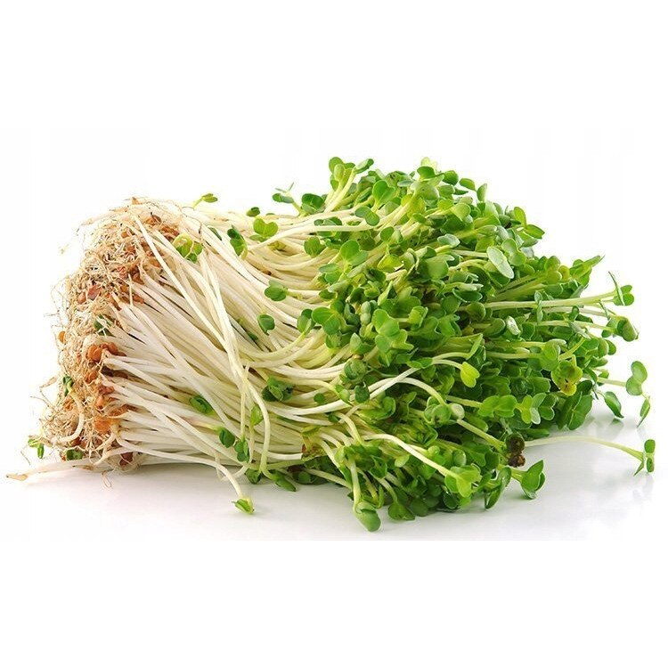 Seminte de germinare, W. Legutko, 30 g - eMAG.ro