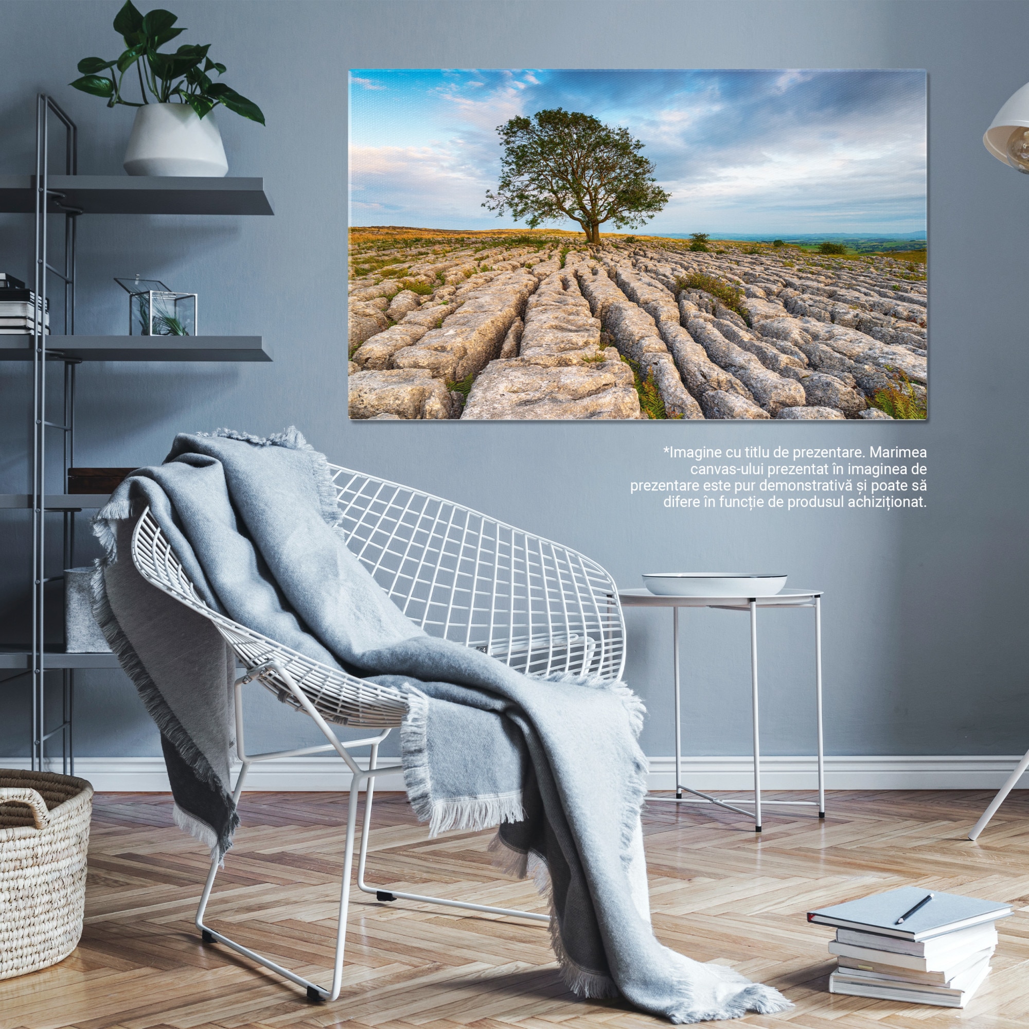 Lone Tree Growing from Limestone Canvas Print, malham, Yorkshire, dales ...