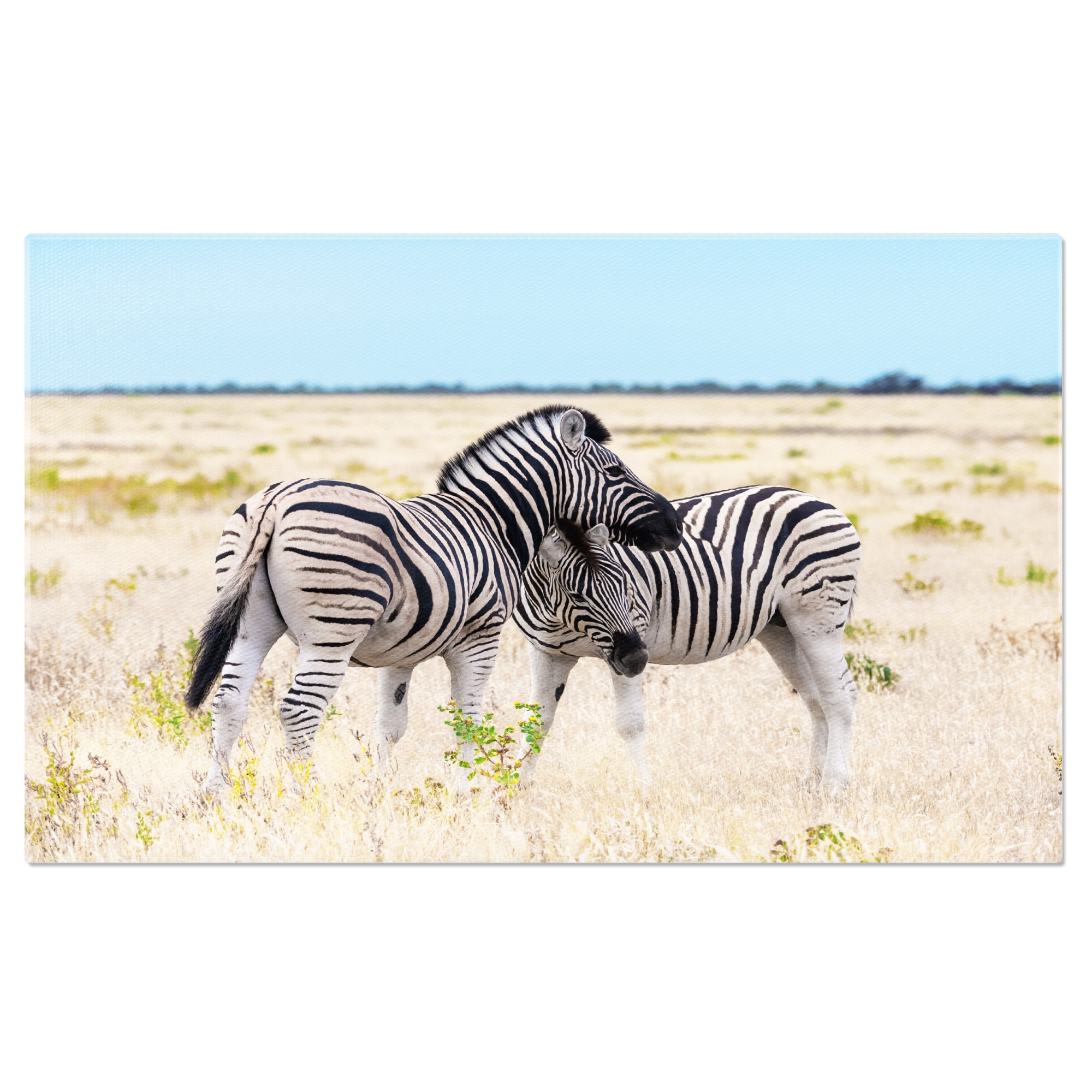 Vászonfestmény Zebrák családja a száraz szavannán, zebrák, vad ...