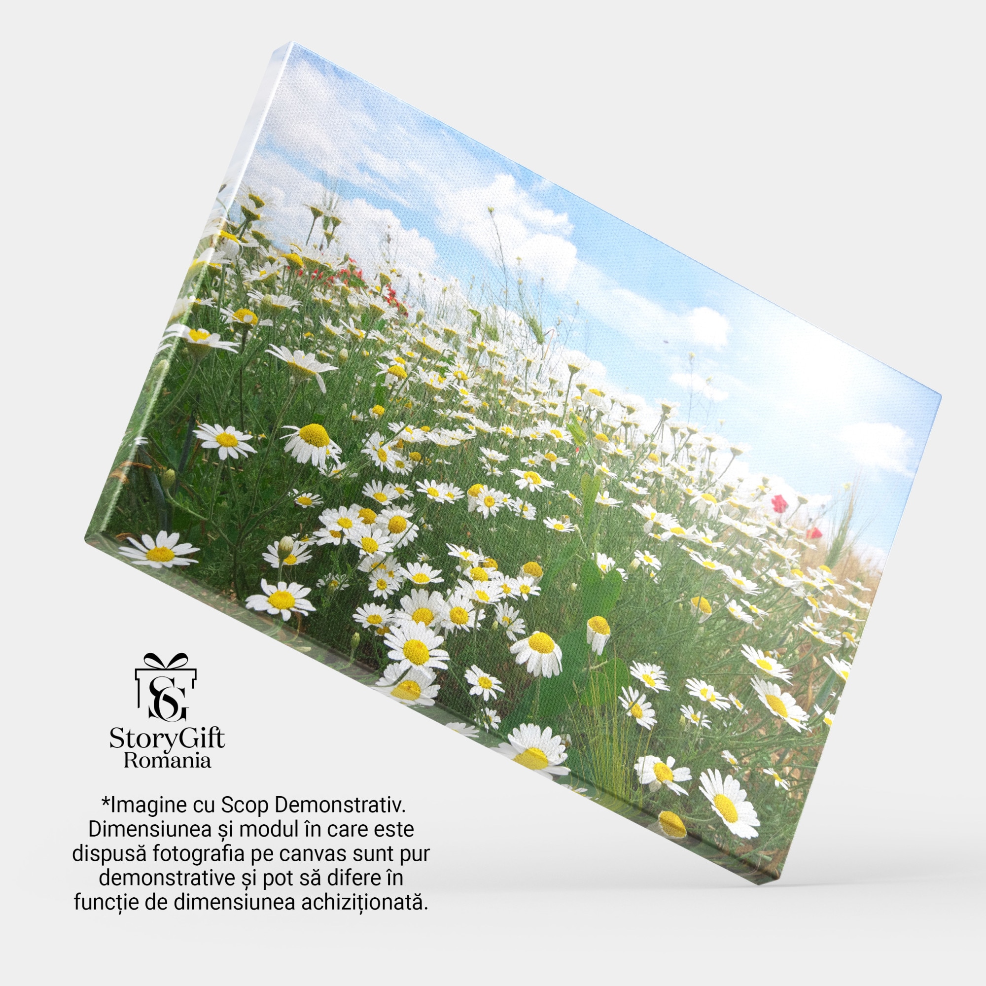 Tablou Canvas Pajiste de Primavara cu Margarete natura, primavara ...