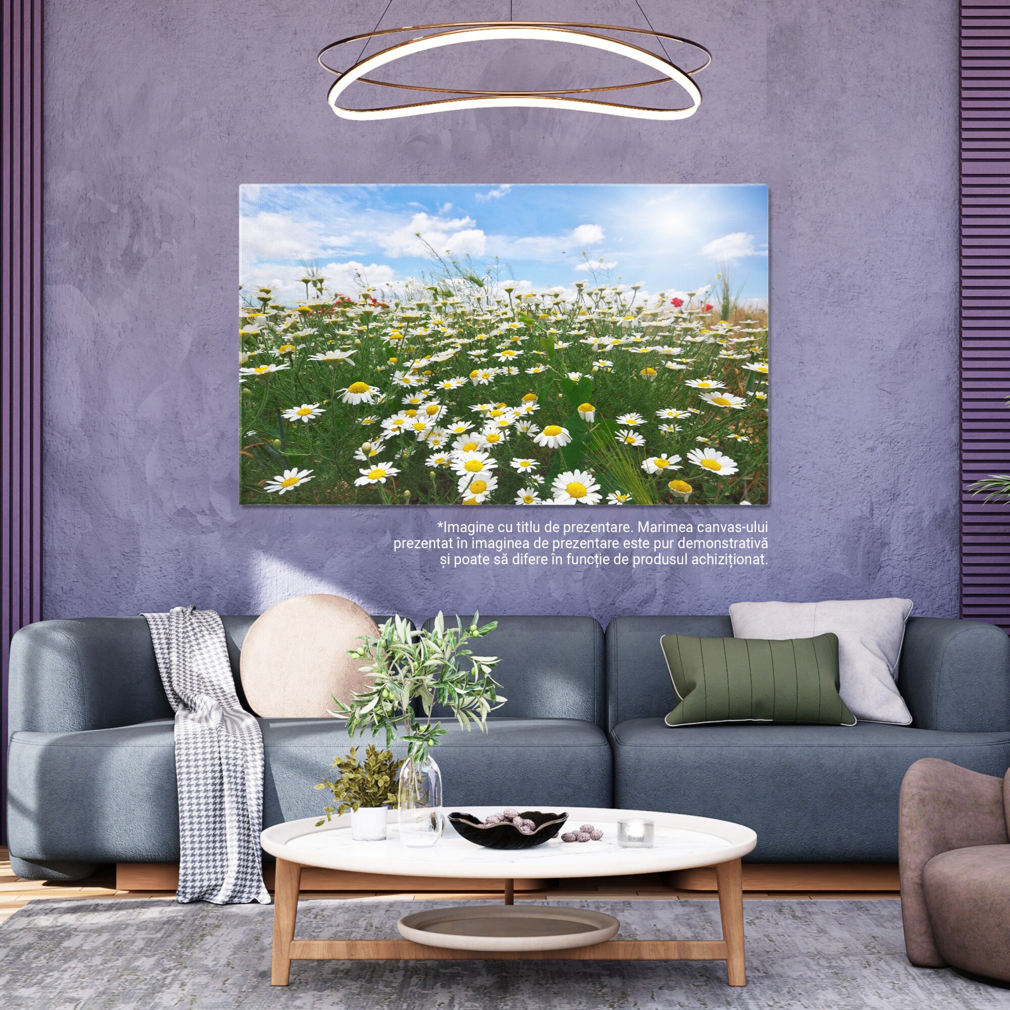 Tablou Canvas Pajiste de Primavara cu Margarete natura, primavara ...