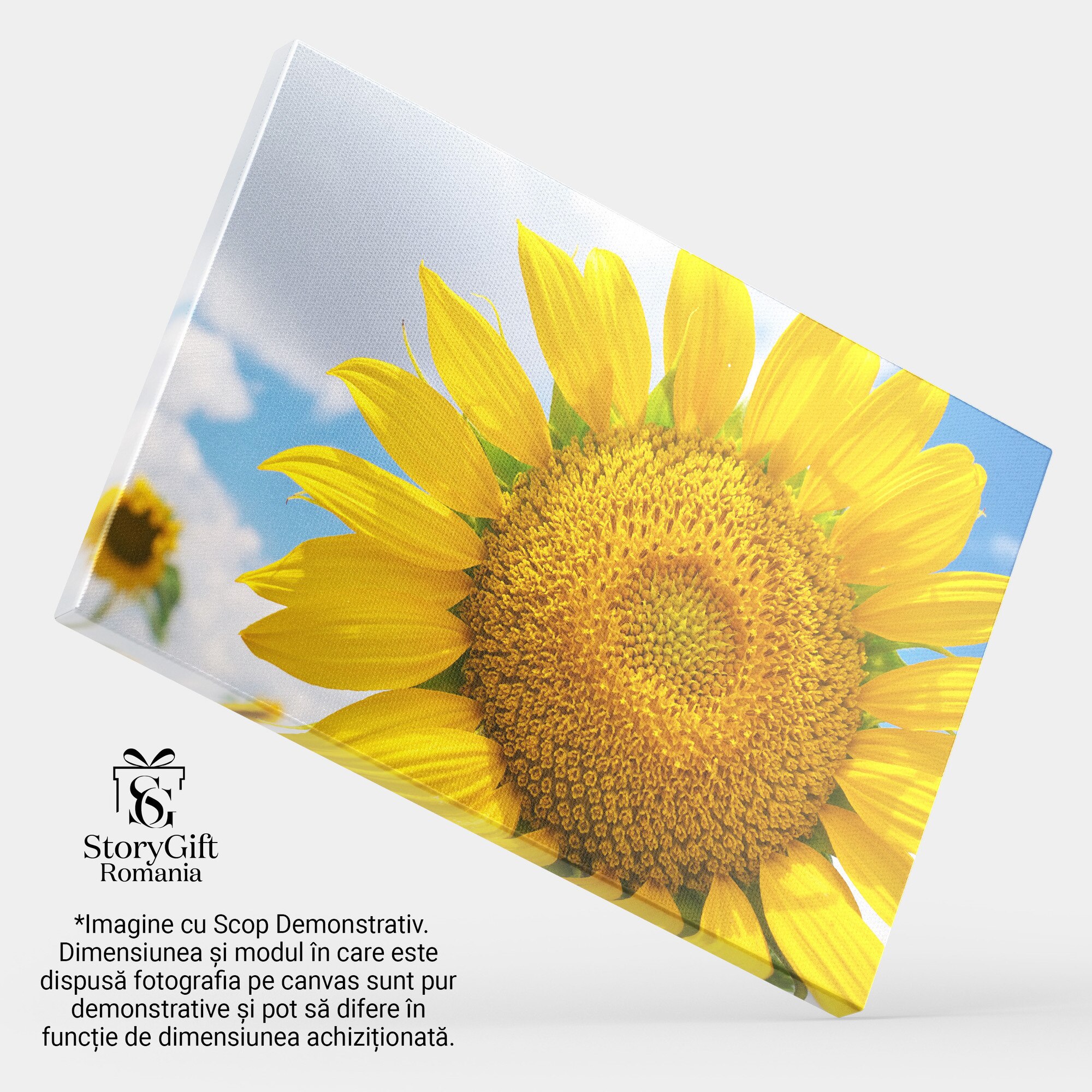 Tablou Canvas Floarea Soarelui pe Fundal de Cer, floare, galben, natura ...