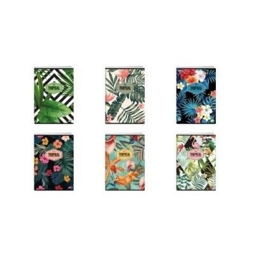 Set 10 caiete dictando, A5, 80 file, 10 buc - eMAG.ro