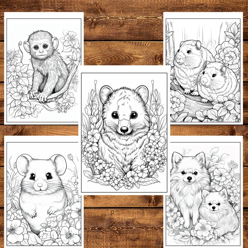 Carte de colorat pentru relaxare si antistres, 50 de ilustratii ...