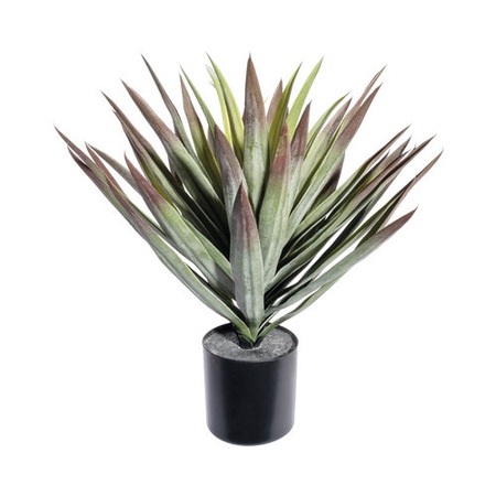 Planta Artificiala Yucca In Ghiveci H 48 Cm Verde/ Rosu - eMAG.ro