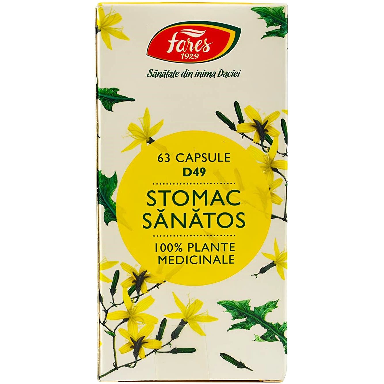 Stomac Sanatos, supliment pentru protectia mucoasei gastrice si ...