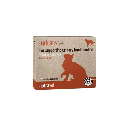Supliment nutritiv pentru caini si pisici Nutracys – sustinerea puterii ...