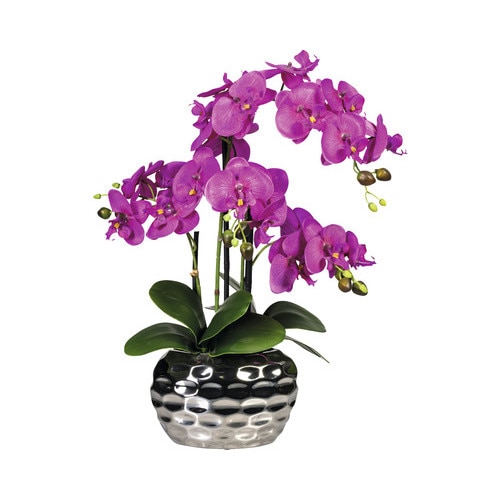 Planta Artificiala Orhidee Fluture Phalaenopsis In Vas Oval 4 Ramuri H ...