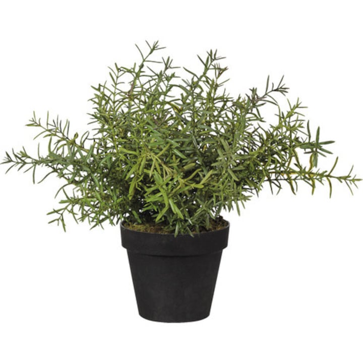Planta Artificiala Rozmarin In Ghiveci H 30 Cm - eMAG.ro