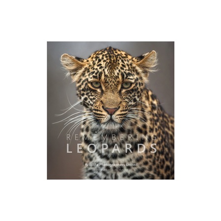 Remembering Leopards, Margot Raggett - eMAG.ro
