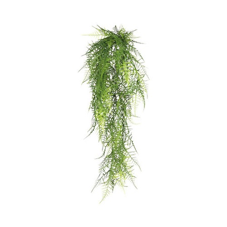 Planta Artificiala Feriga Asparagus Setaceus H 80 Cm Verde - eMAG.ro