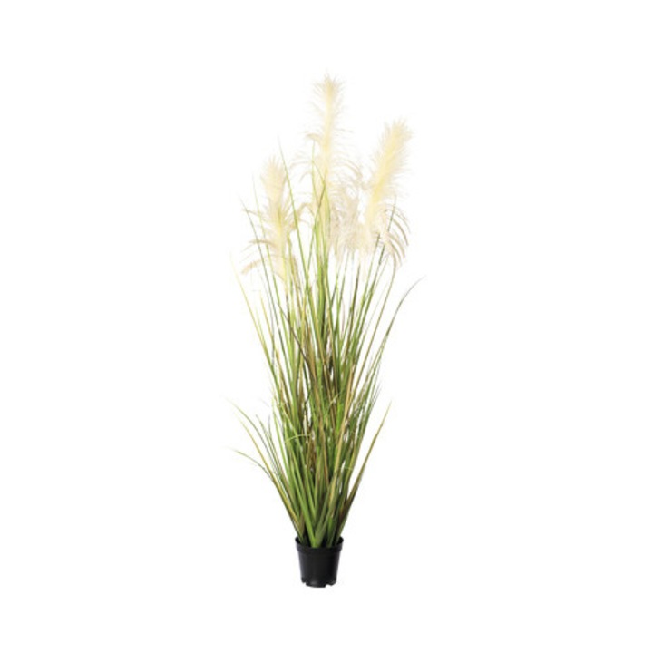 Planta Artificiala Iarba Pampas In Ghiveci H 130 Cm Colorata - eMAG.ro