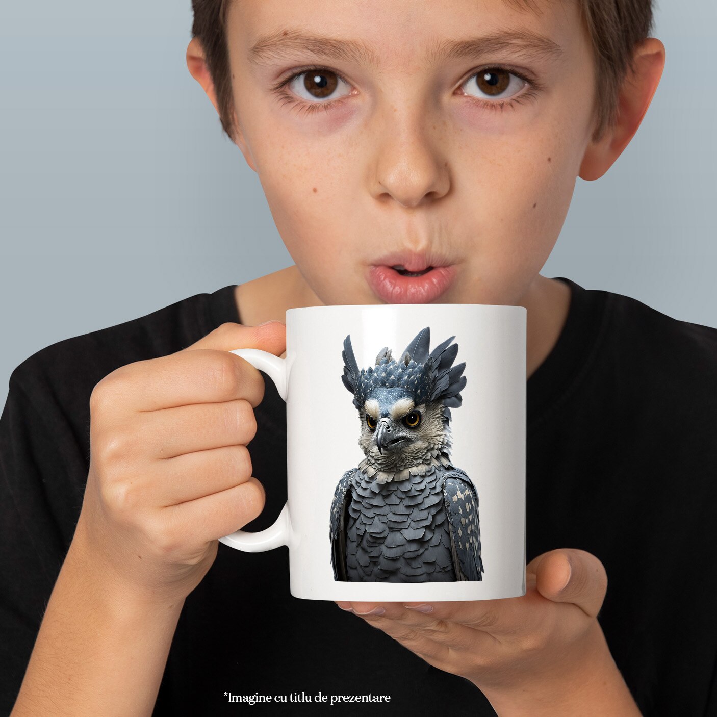 Cana cu Portret Pasare din Fata, Pasare Fiorosa, Pasare cu Pene ...