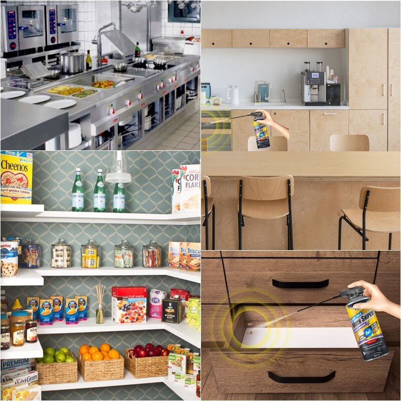 Spray anti molii alimentare molii de haine, anti insecte, PestX, 400ml ...