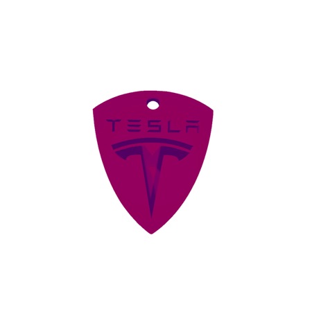 Breloc chei, "TESLA", roz zmeuriu 60 X 50 mm - eMAG.ro