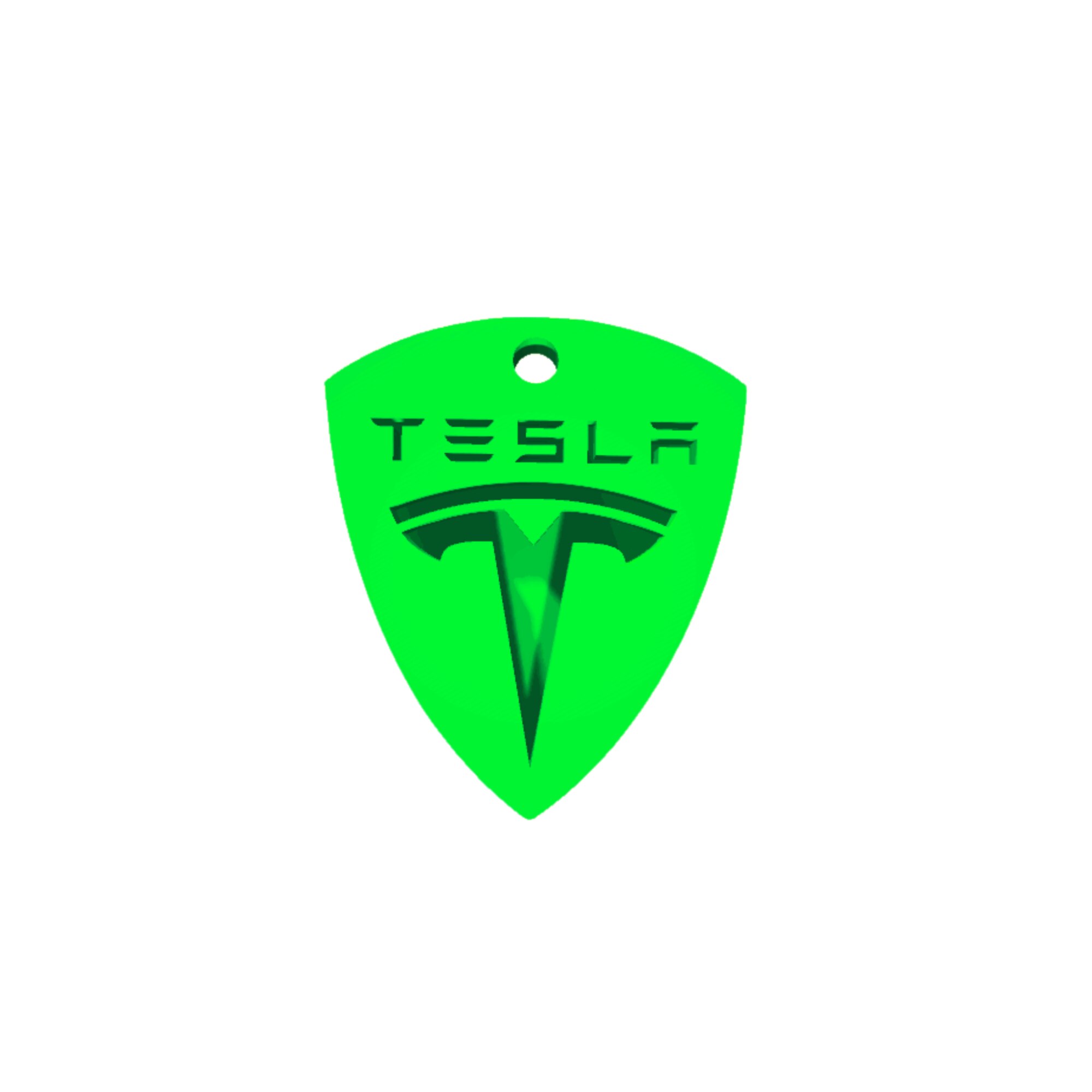 Breloc chei, "TESLA", verde 60 X 50 mm - eMAG.ro