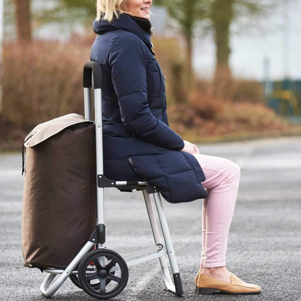 Carucior pentru Cumparaturi Pliabil cu Scaun Rabatabil Bigshot ...