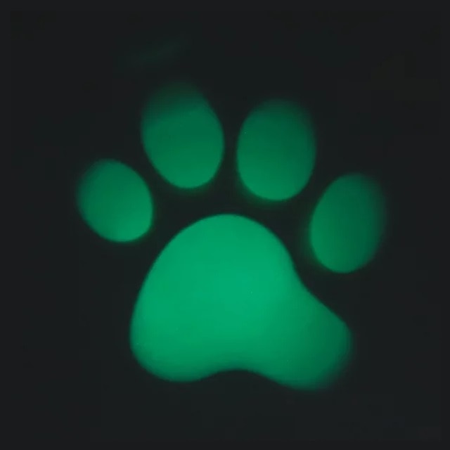 Jucarie cu lumina LED care proiecteaza o labuta de animale, pentru ...