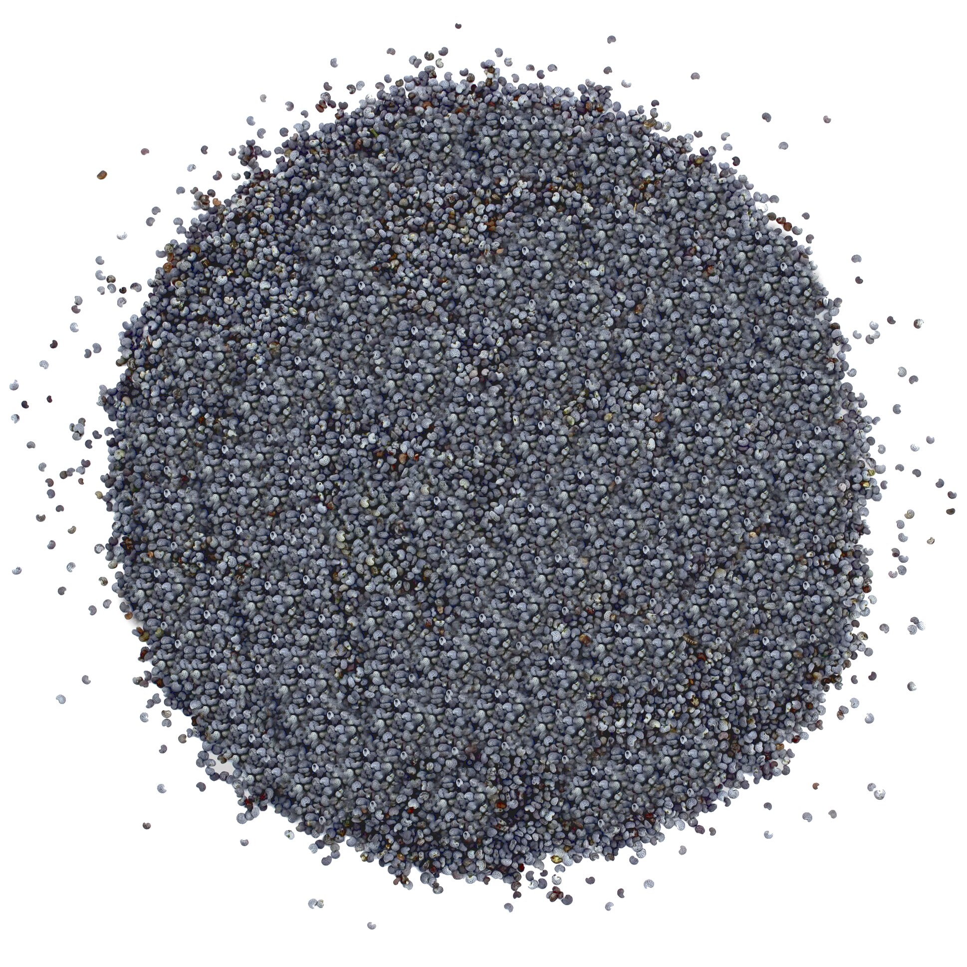 Kuchnia Zdrowia, Seminte de mac albastru, De inalta calitate, Natural ...