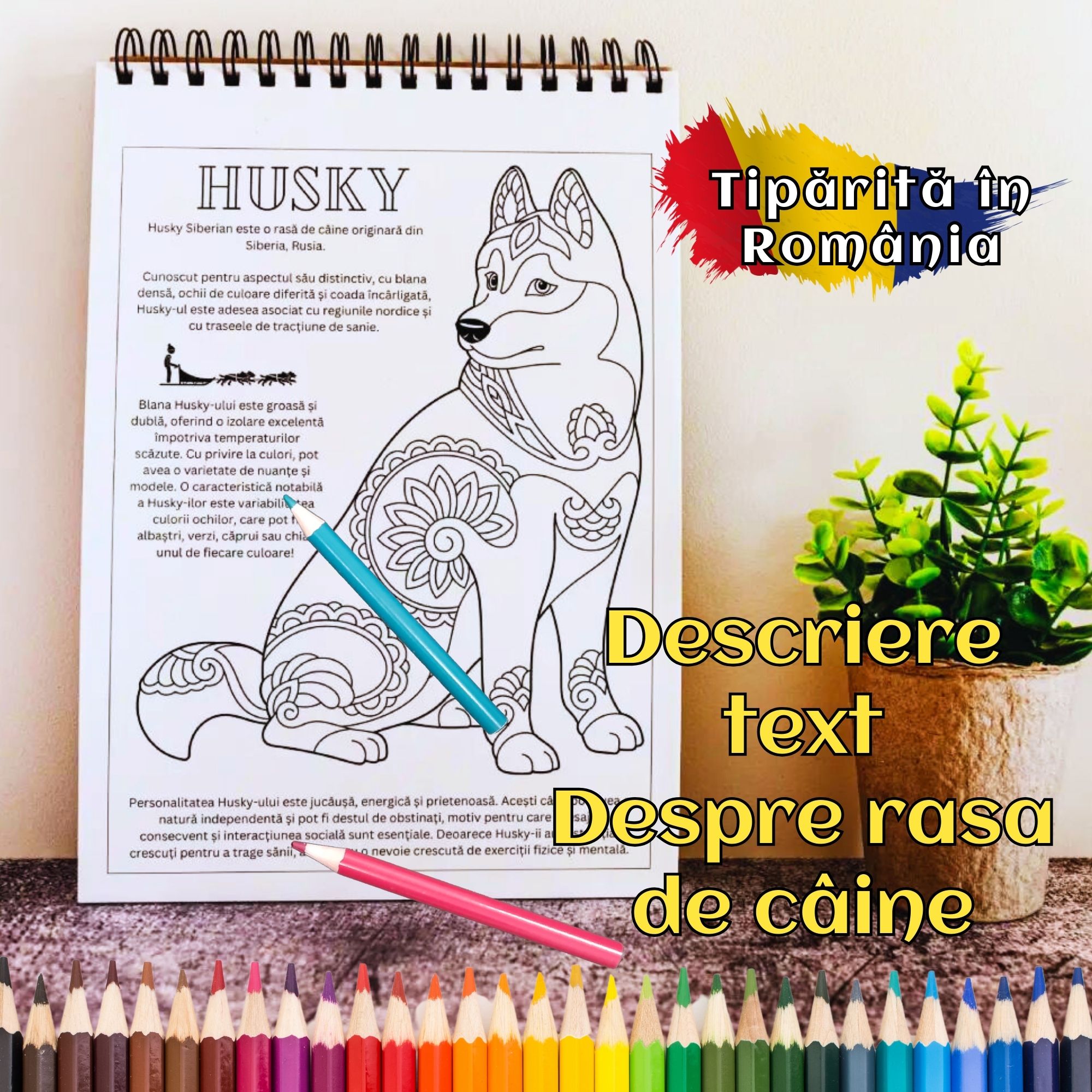 Carte de colorat cu caini, Gasca Vesela de Caini, MAGIA CARTII, A4, 46 ...