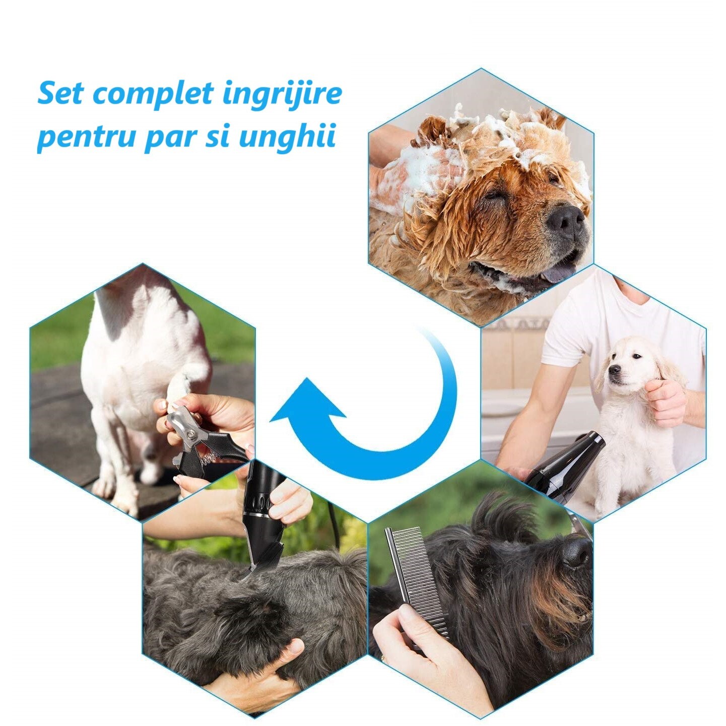 Set masina de tuns animale, caini, pisici, cu lama ceramica, contine 4 ...