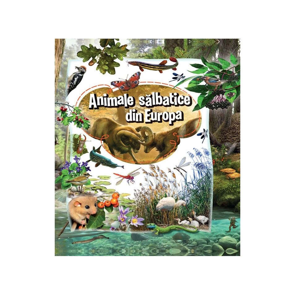 Animale salbatice din Europa - eMAG.ro