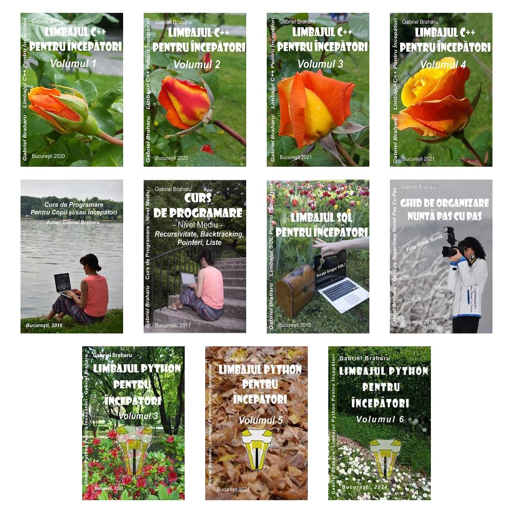 Set de 10+1 Carti Programare Incepatori (134), Gabriel Braharu ...