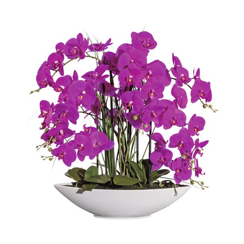 Planta Artificiala Orhidee Fluture Phalaenopsis In Vas 8 Ramuri H 70 Cm ...