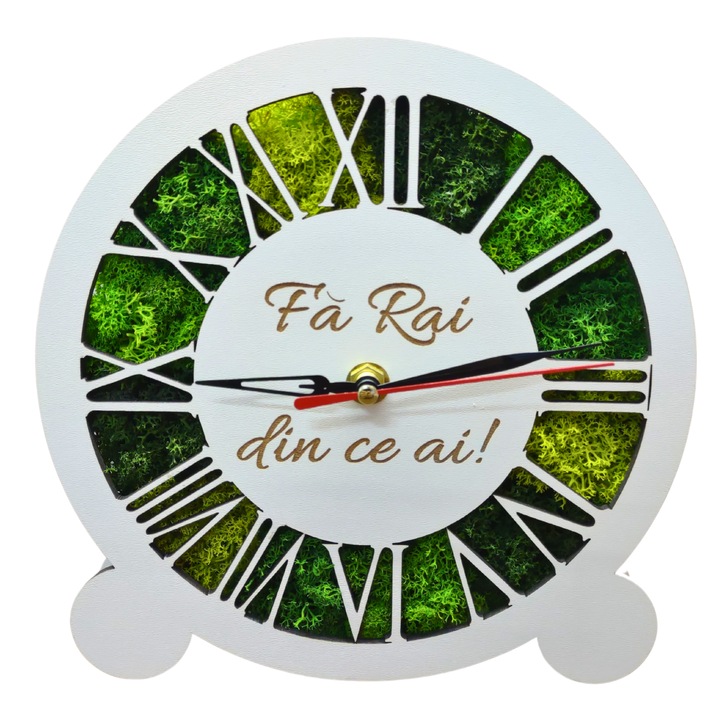 Ceas din lemn alb decorat cu licheni stabilizati verzi, cifre romane ...