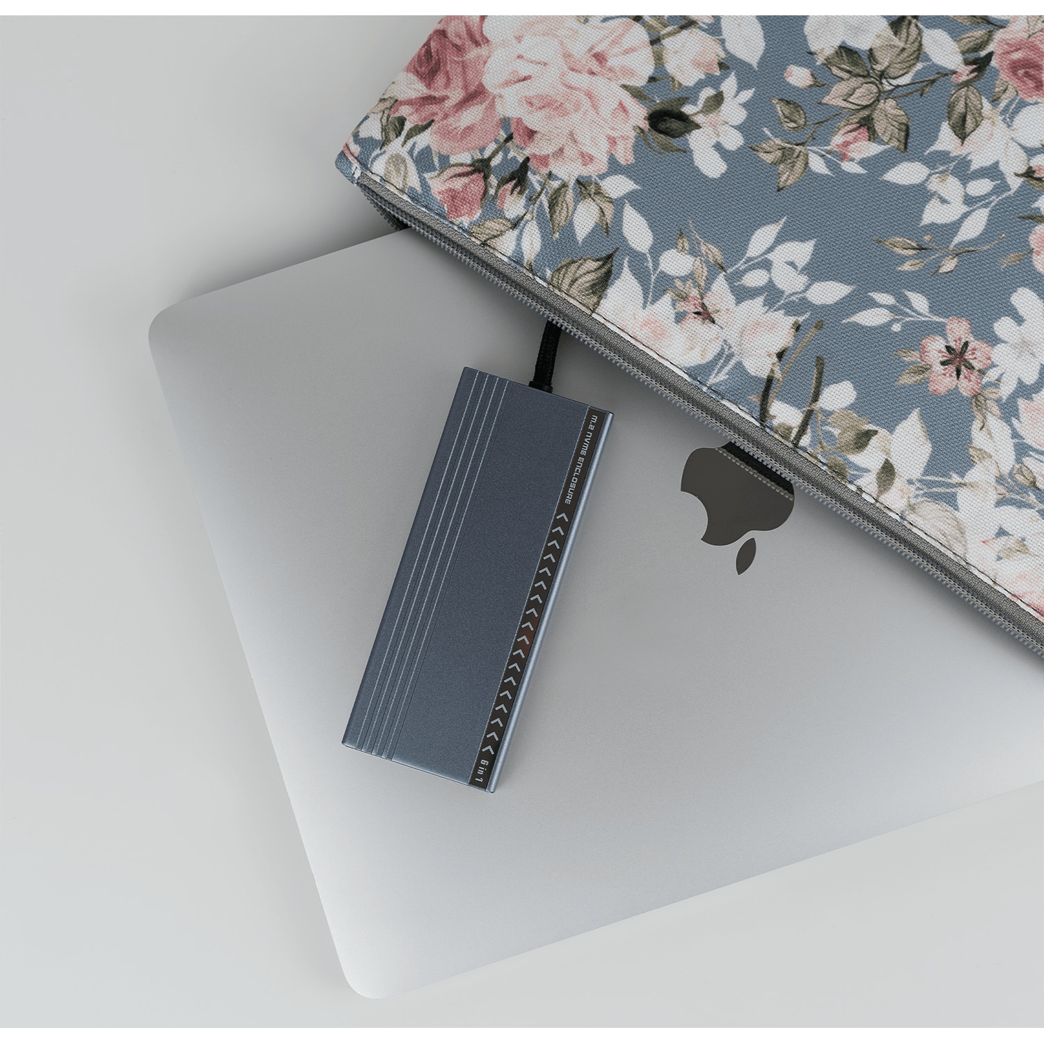 Hub Adaptor Type C USB-C Rack Extern SSD NVMe SATA M.2 Reagle hub PD ...