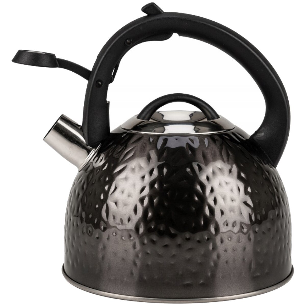 Ceainic cu fluier, capacitate 3 L, Karl Hausmann, Mona, otel inoxidabil ...
