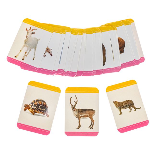 Cartonase Educative Mini cu Animale - 48buc - eMAG.ro