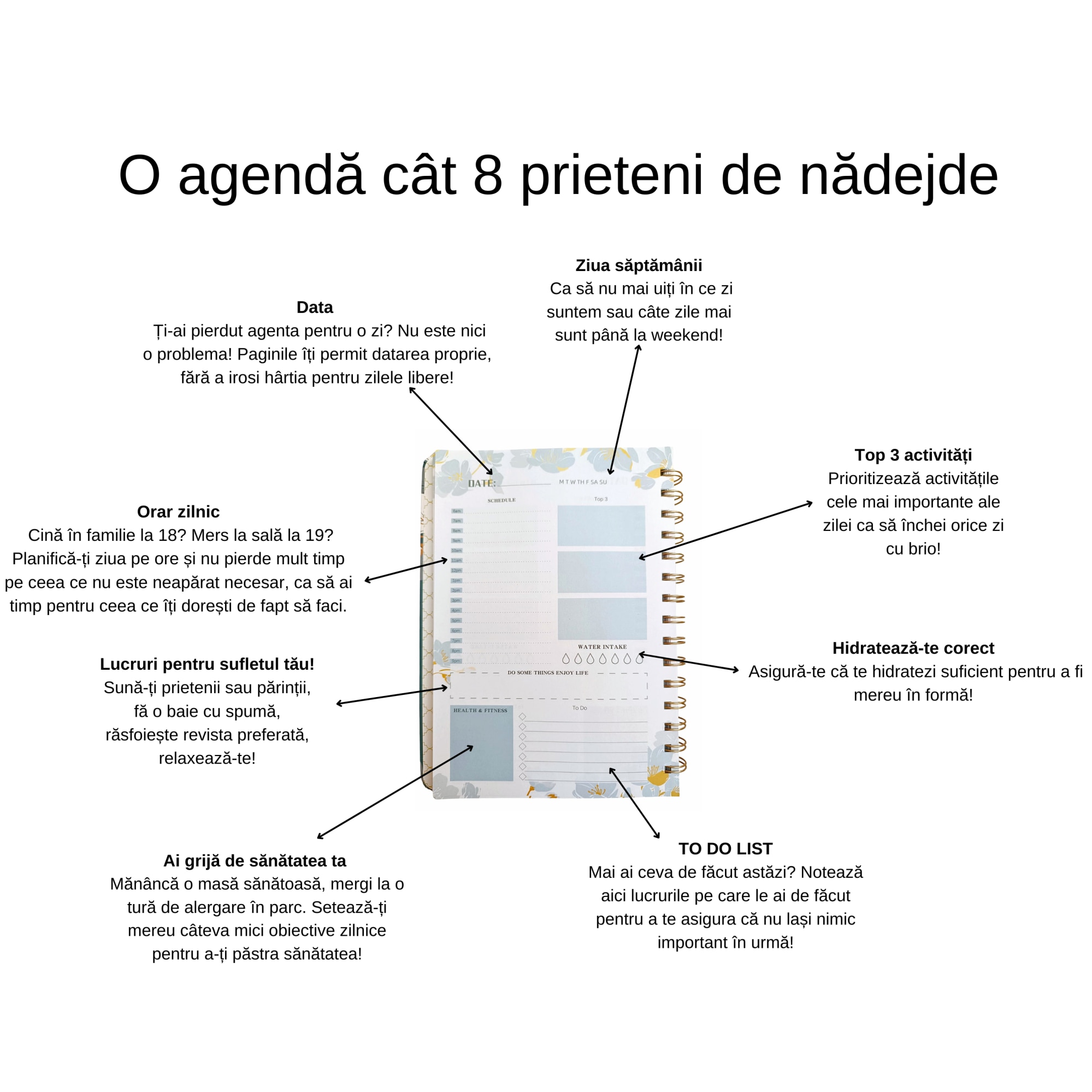 Agenda organizator si planificator zilnic cu spirala metalica, orar ...