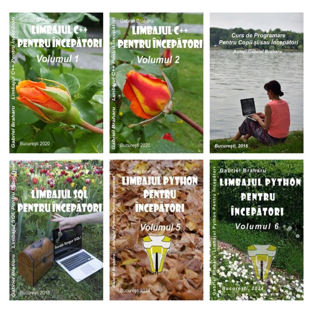 Set de 6 Carti Programare Incepatori (261), Gabriel Braharu, Colectia ...