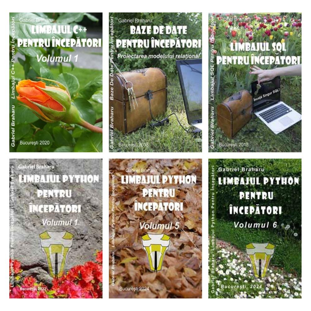 Set de 6 Carti Programare Incepatori (331), Gabriel Braharu, Colectia ...