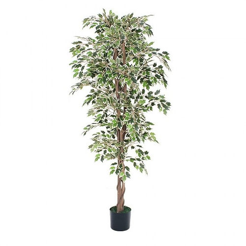 Pom decor artificial- Ficus, 170cm - eMAG.ro