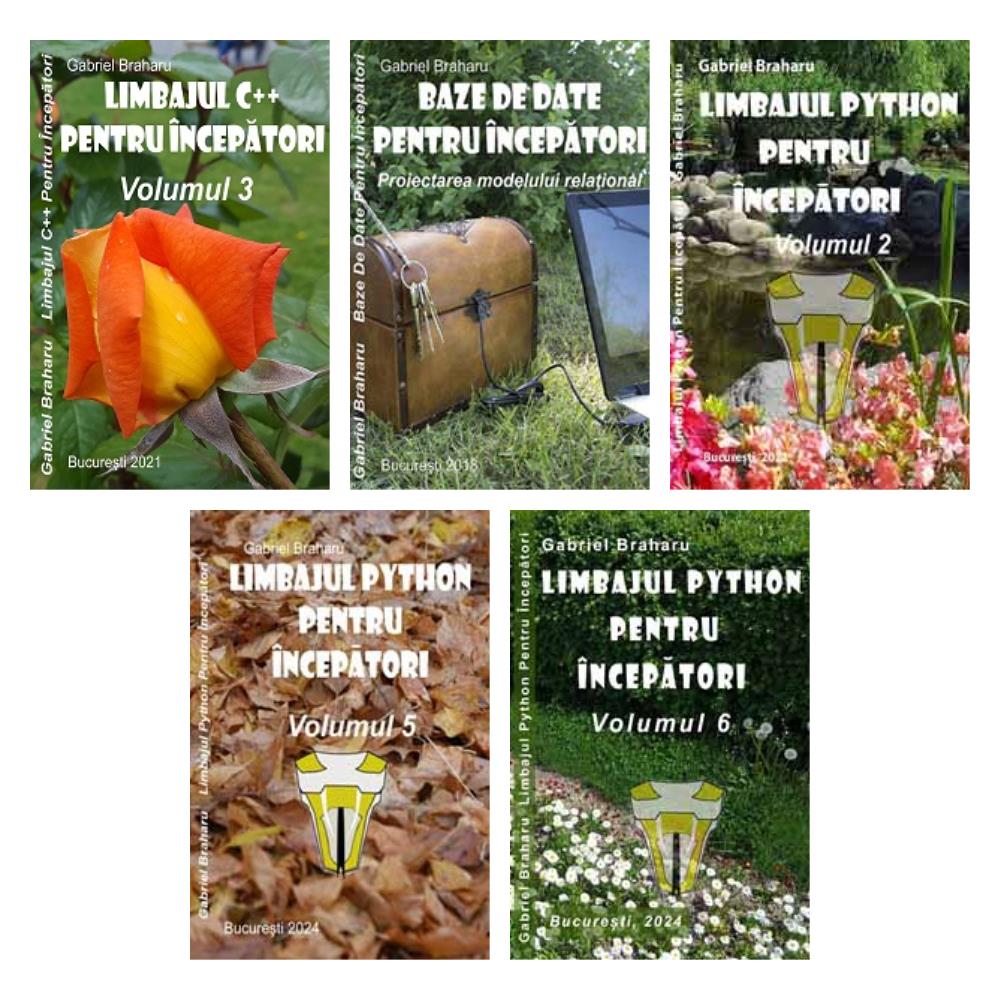 Set de 5 Carti Programare Incepatori (282), Gabriel Braharu, Colectia ...