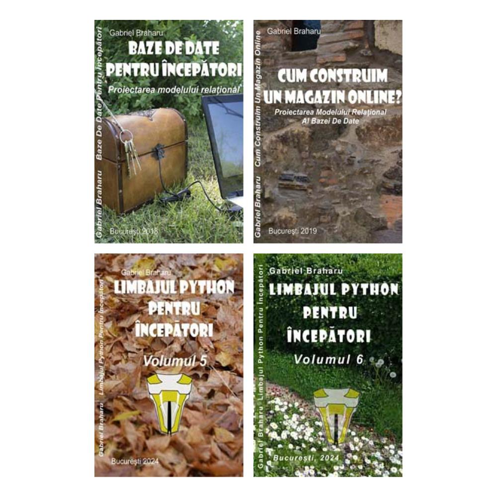 Set de 4 Carti Programare Incepatori (150), Gabriel Braharu, Colectia ...