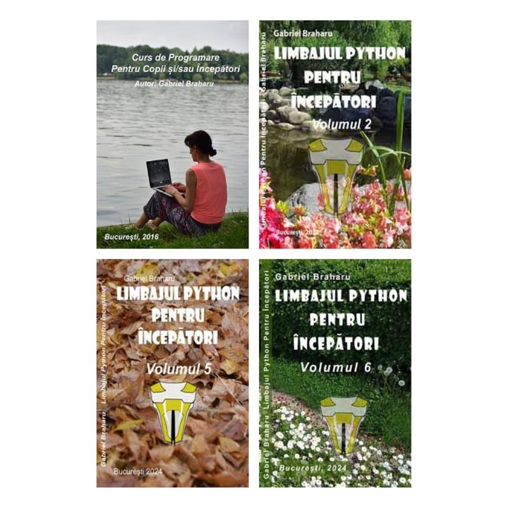 Set de 4 Carti Programare Incepatori (141), Gabriel Braharu, Colectia "Invata programare singur ...