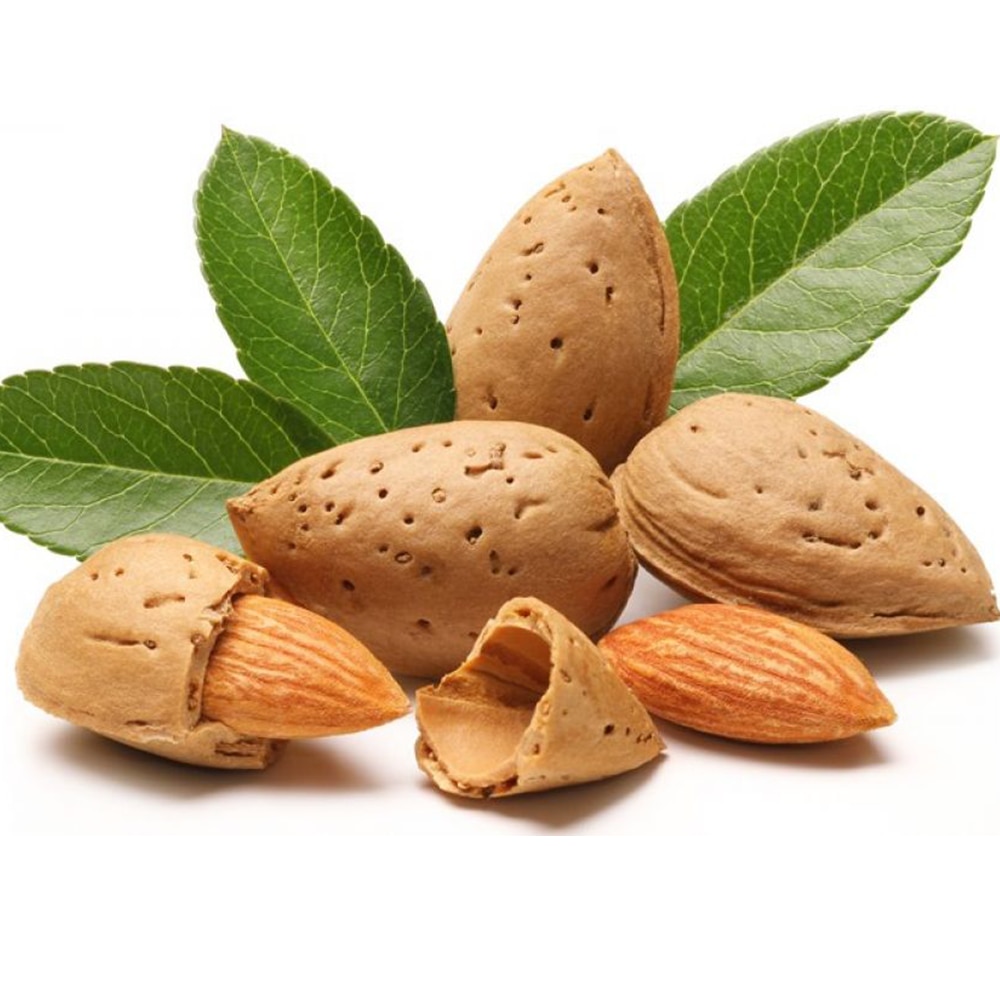 Pom fructifer, Migdal Record de Tetenyi, 1 bucata - eMAG.ro