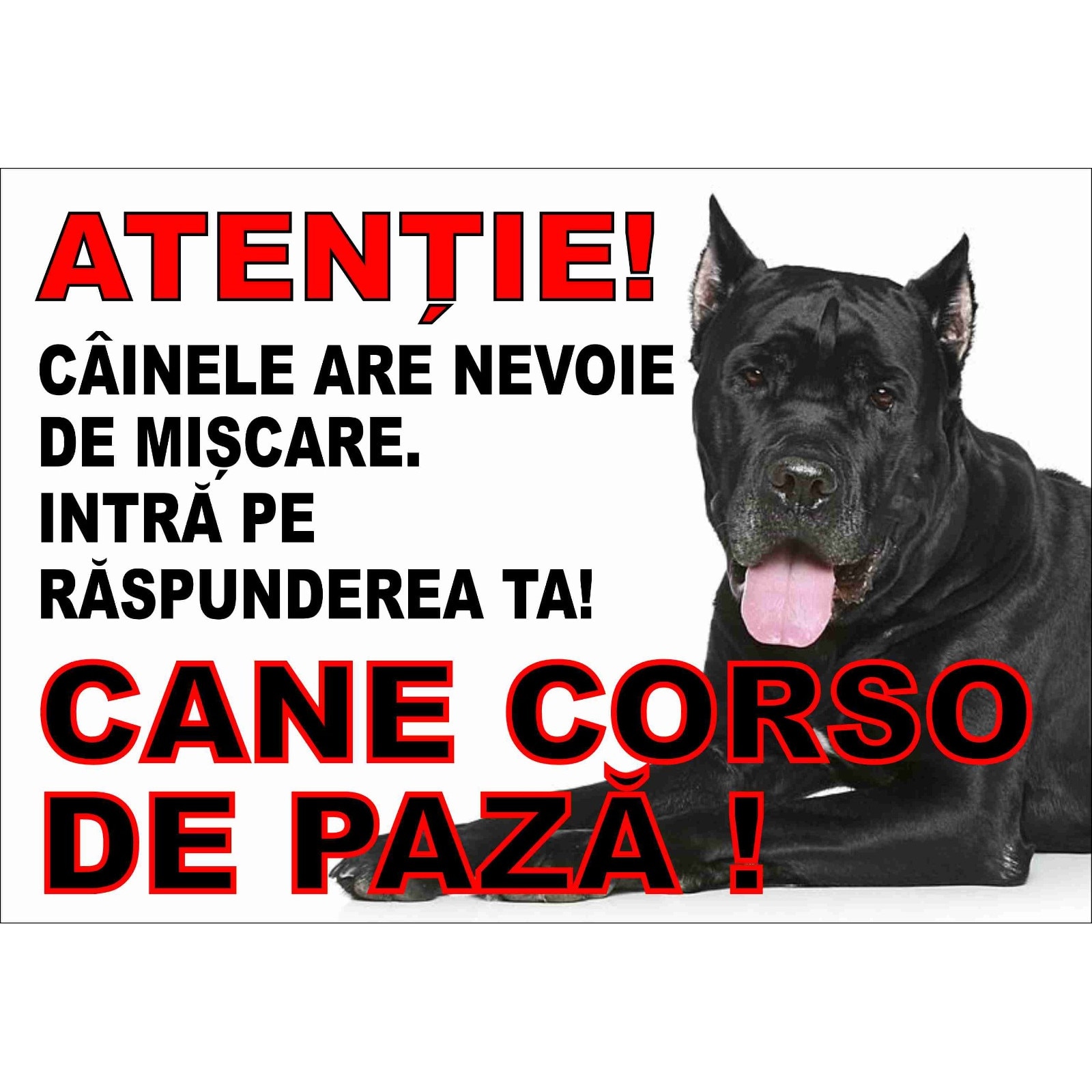 Placa avertizare / atentionare Caine Periculos, Cane Corso, TCL 417, 18 ...