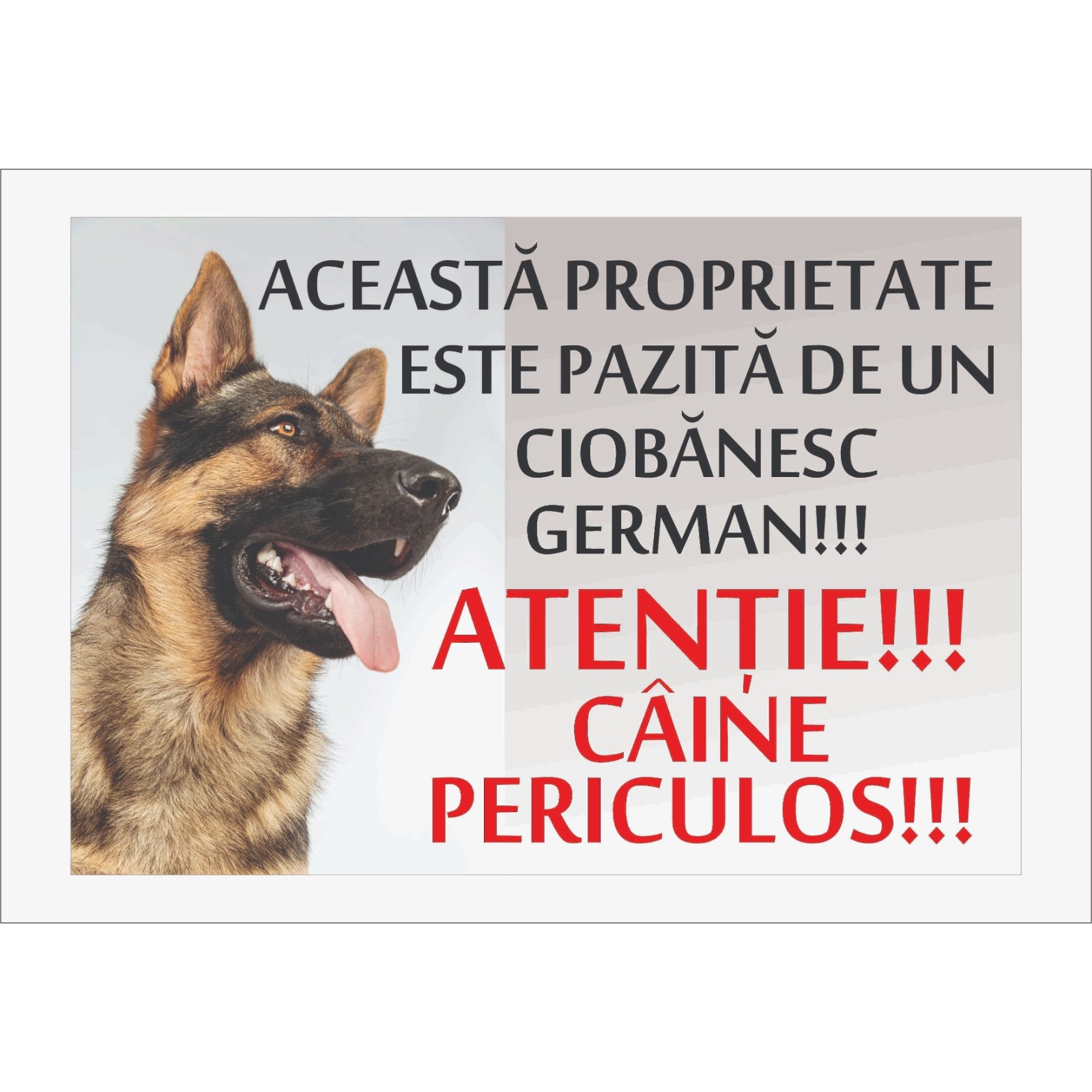 Placa avertizare / atentionare Caine Periculos, Ciobanesc German, TCL ...