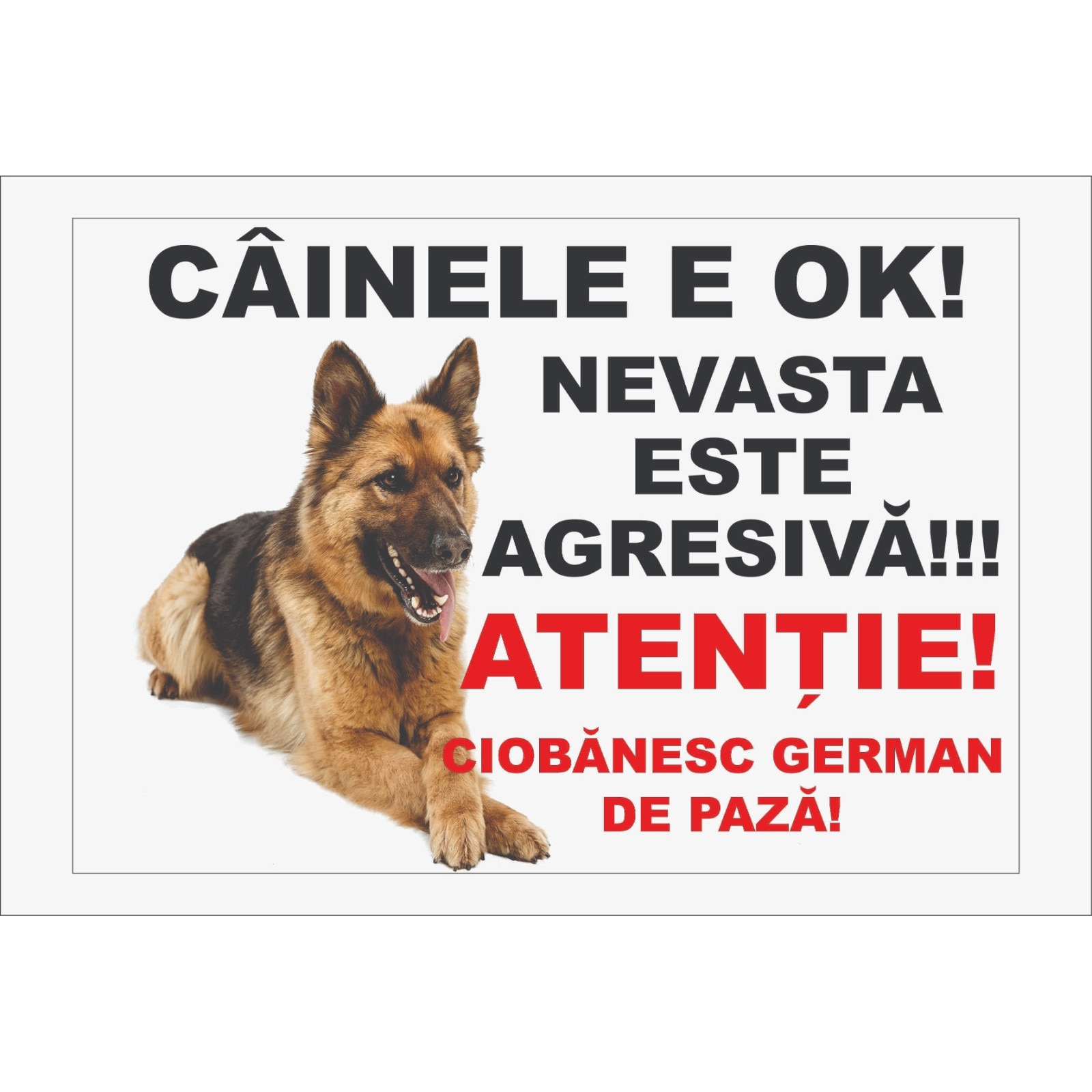 Placa avertizare / atentionare Caine Periculos, Ciobanesc German, TCL ...
