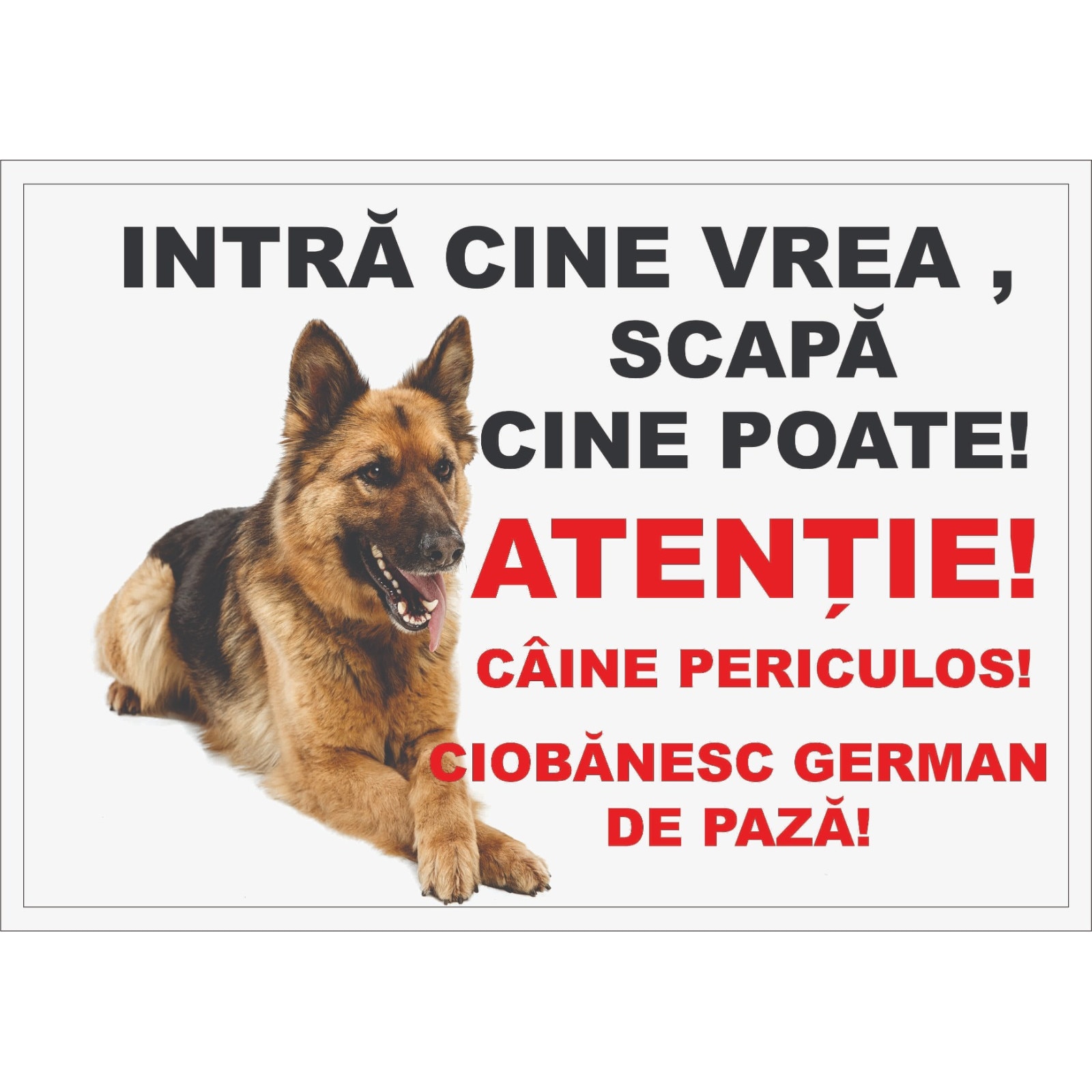 Placa avertizare / atentionare Caine Periculos, Ciobanesc German, TCL ...