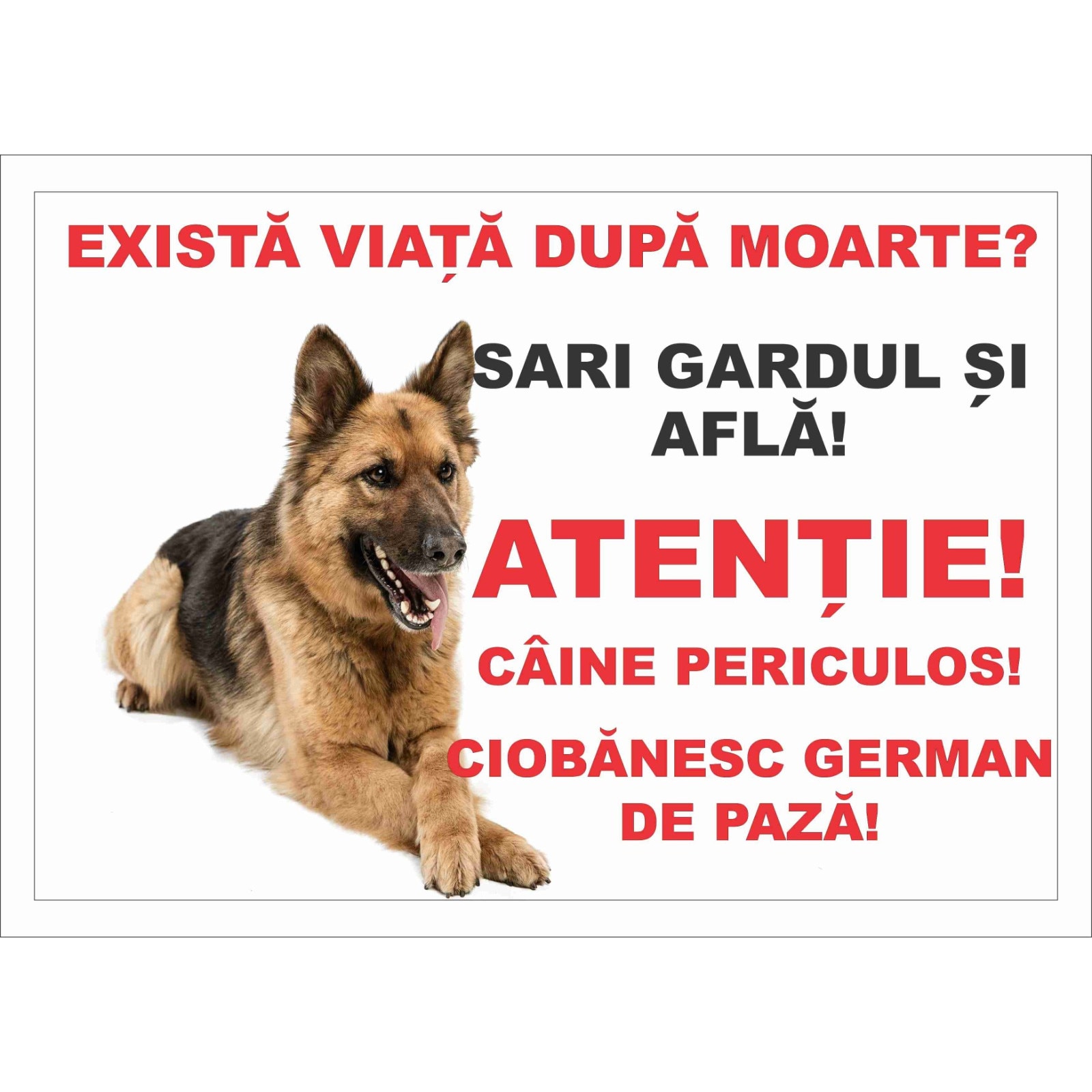 Placa avertizare / atentionare Caine Periculos, Ciobanesc German, TCL ...