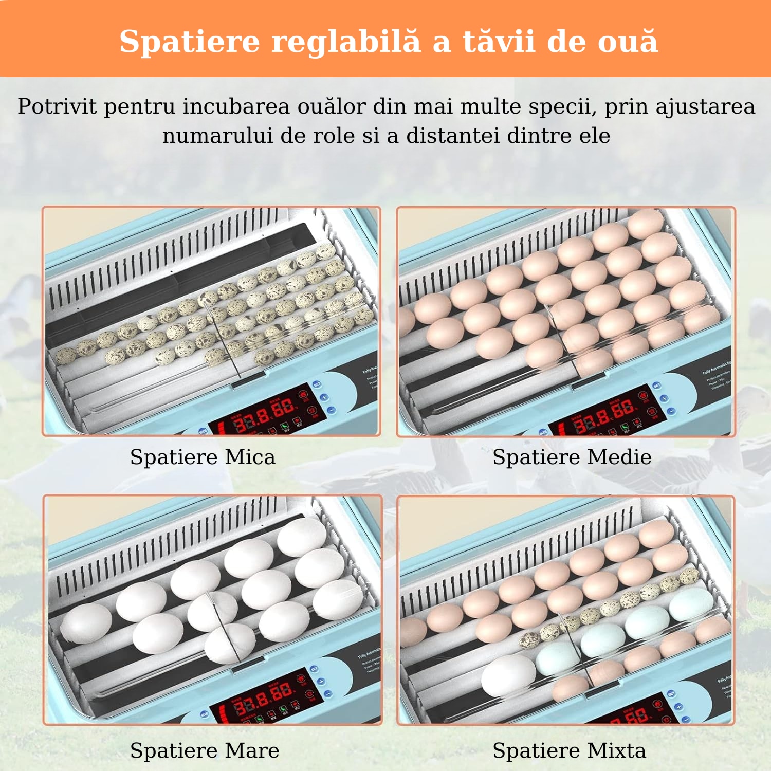 Incubator automat oua cu afisaj de temperatura, umiditate si intoarcere ...