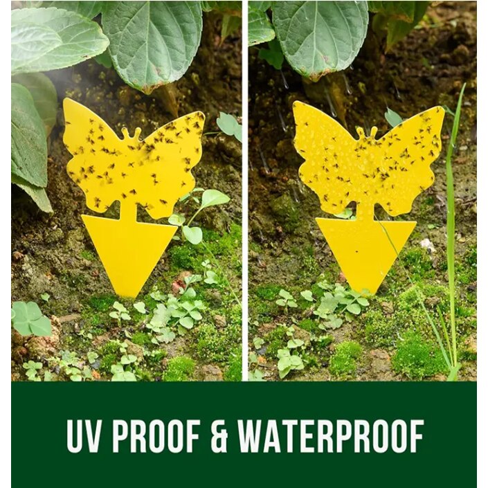 Set 5 placi galbene cu lipici pe ambele parti, capcana pentru insectele ... Set 5 placi galbene cu lipici pe ambele parti, capcana pentru insectele ...